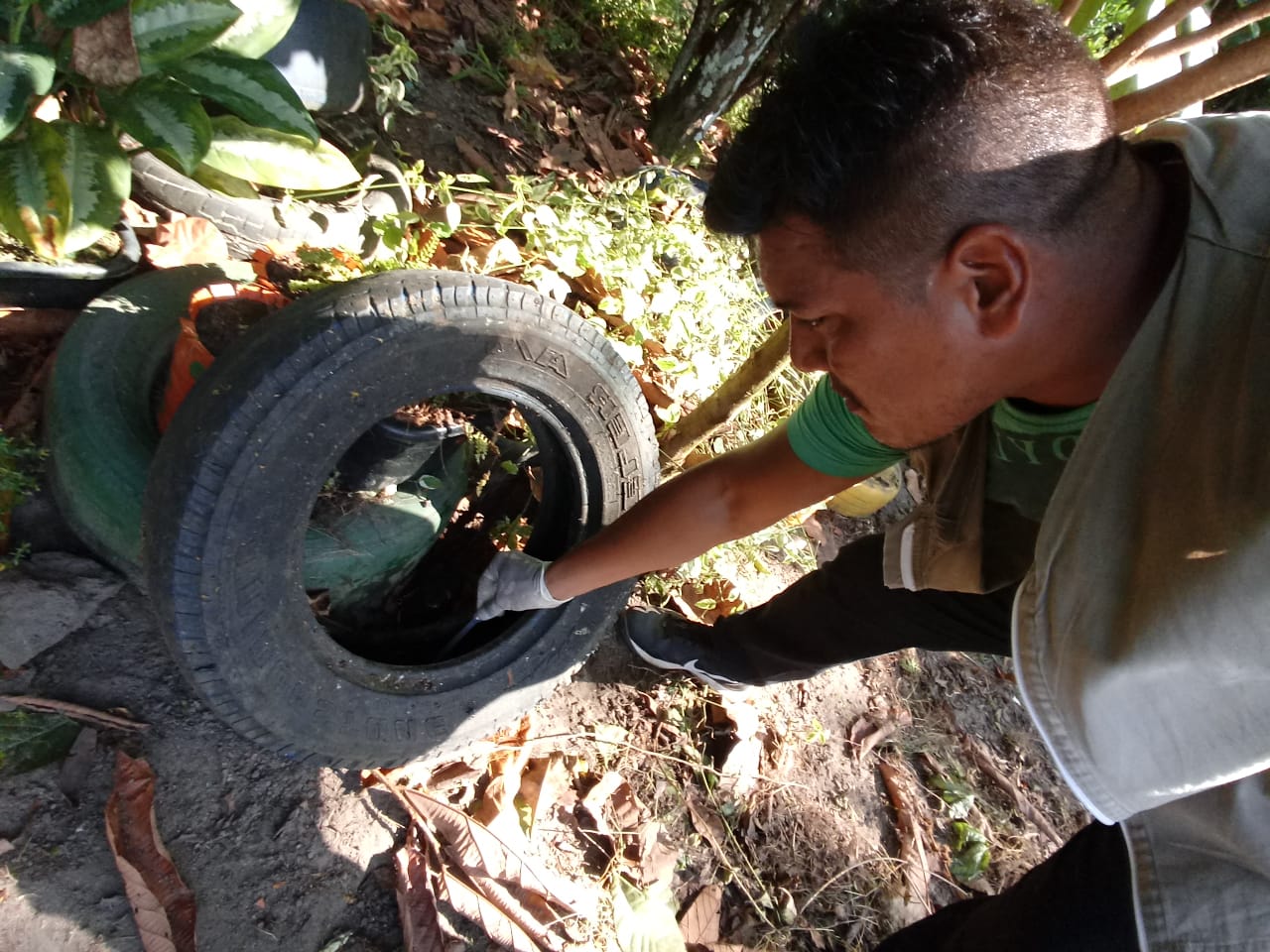 LIRAa: agentes de endemias trabalham na identificação de focos do Aedes ...